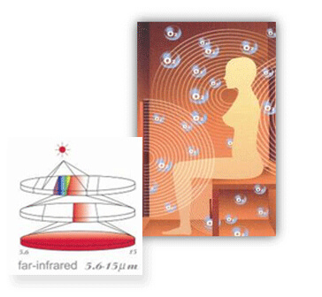 Royale Sauna | Features